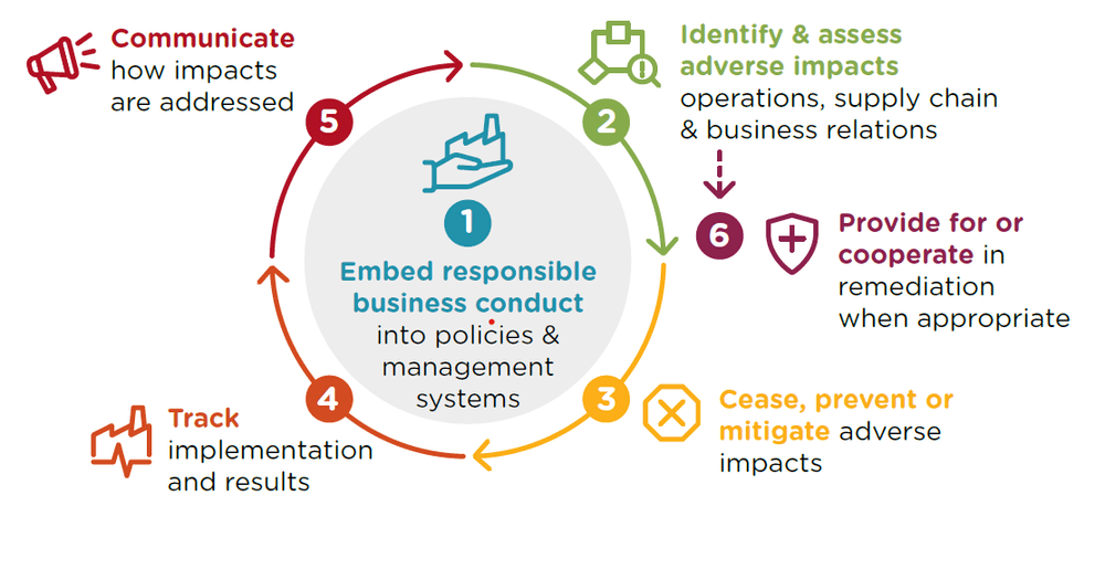 Due Diligence Steps: Guide to Implementation | QIMA Due Diligence Steps: Guide to Implementation | QIMA
